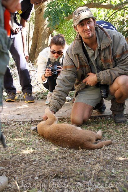 Monique Sosnowski – Kara Jamie Norton